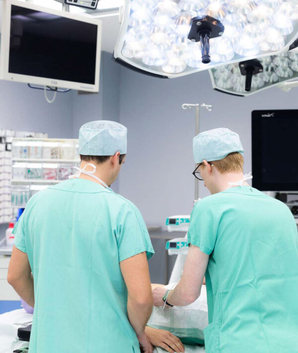 Die Hernien Spezialisten - Umfassende Betreuung von der Diagnose bis ...